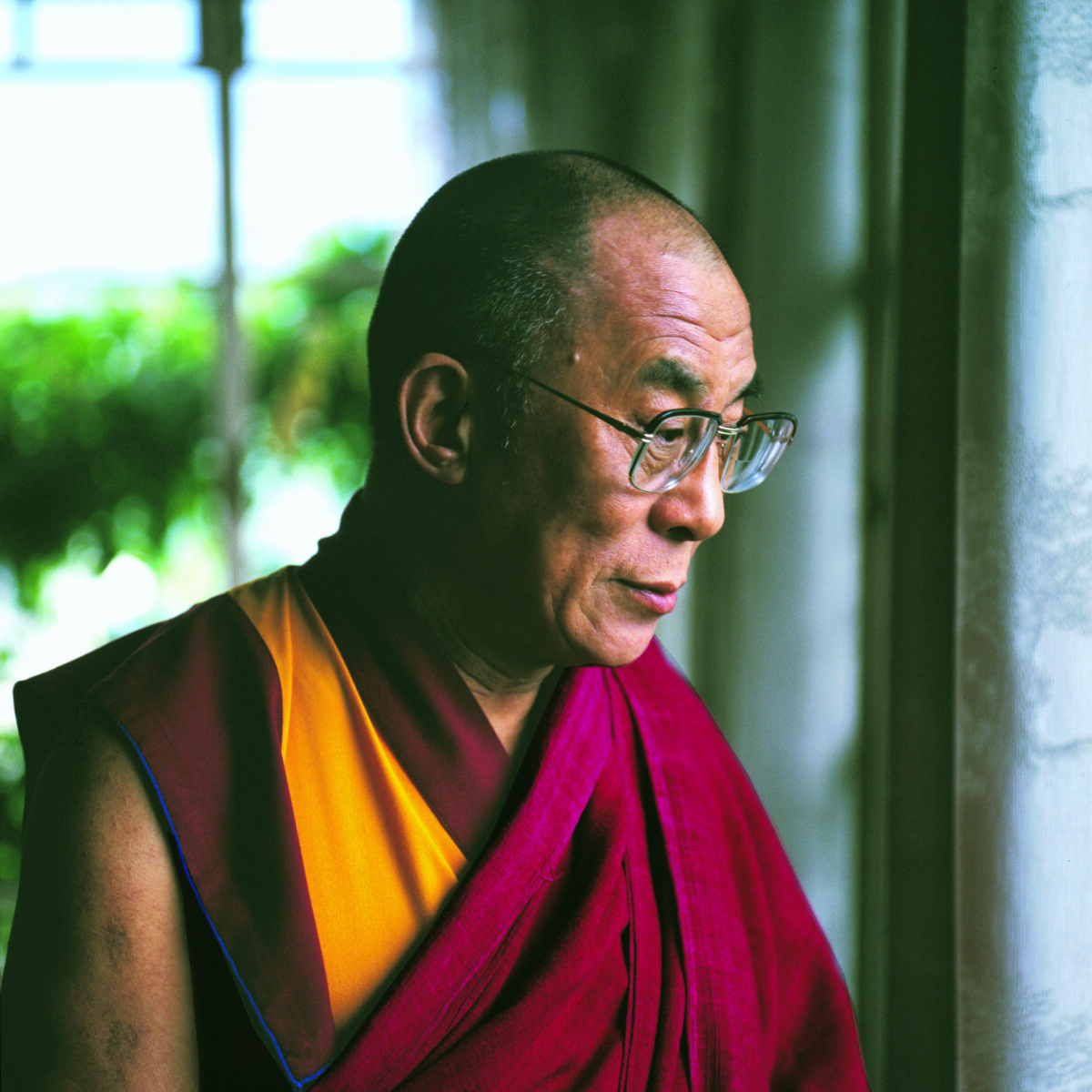 Don Farber's Articles on Lion's Roar