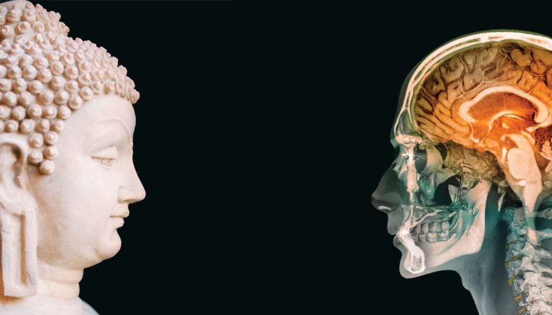 The Science of the Mind and the Science of the Brain - Lion's Roar