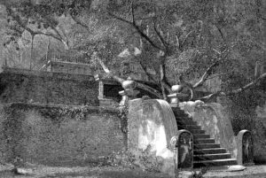 Who Was Queen Anula? - Lion's Roar