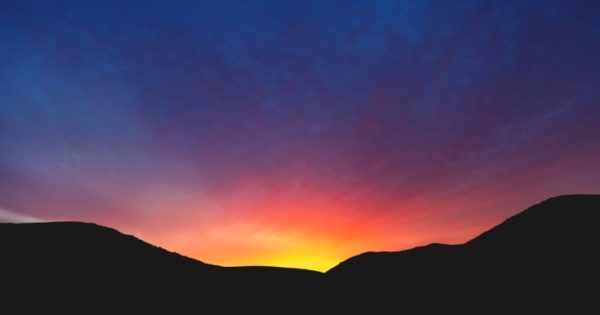 First Light - Lions Roar