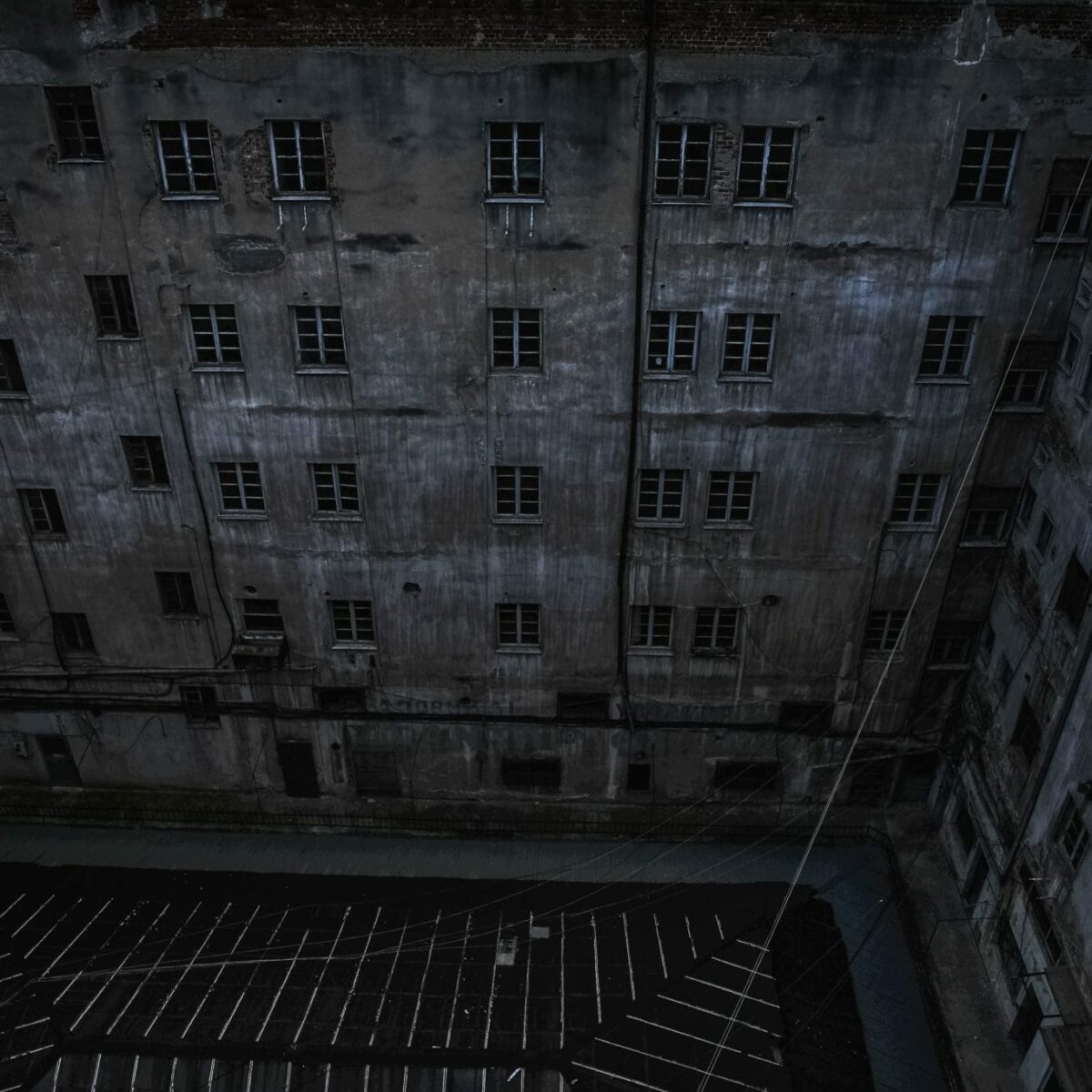 Judith Toy's Articles on Lions Roar