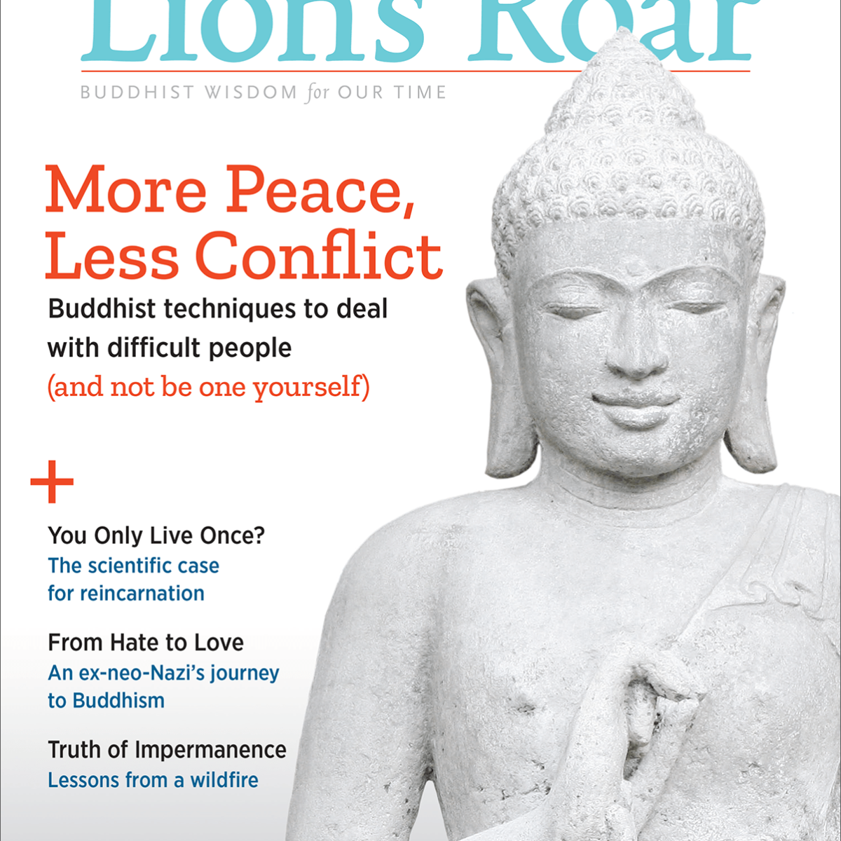 Buddhist Rituals And Practices