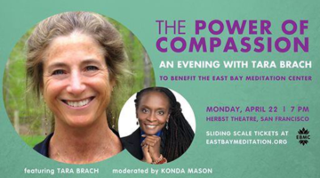 To Know the Suffering of War - Lion's Roar