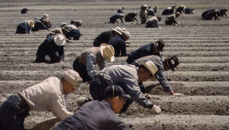 Bearing Witness to the Wounds of Internment - Lion's Roar