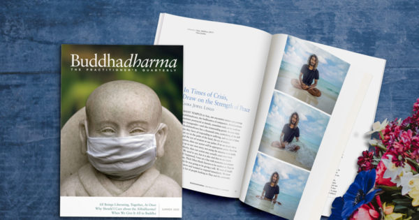 Buddhadharma: The Practitioner's Quarterly - Lion's Roar