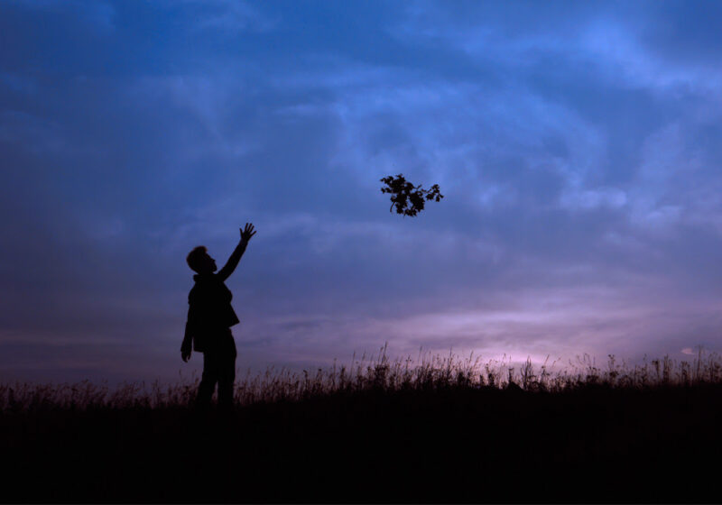 Letting Go of What It All Means - Lions Roar