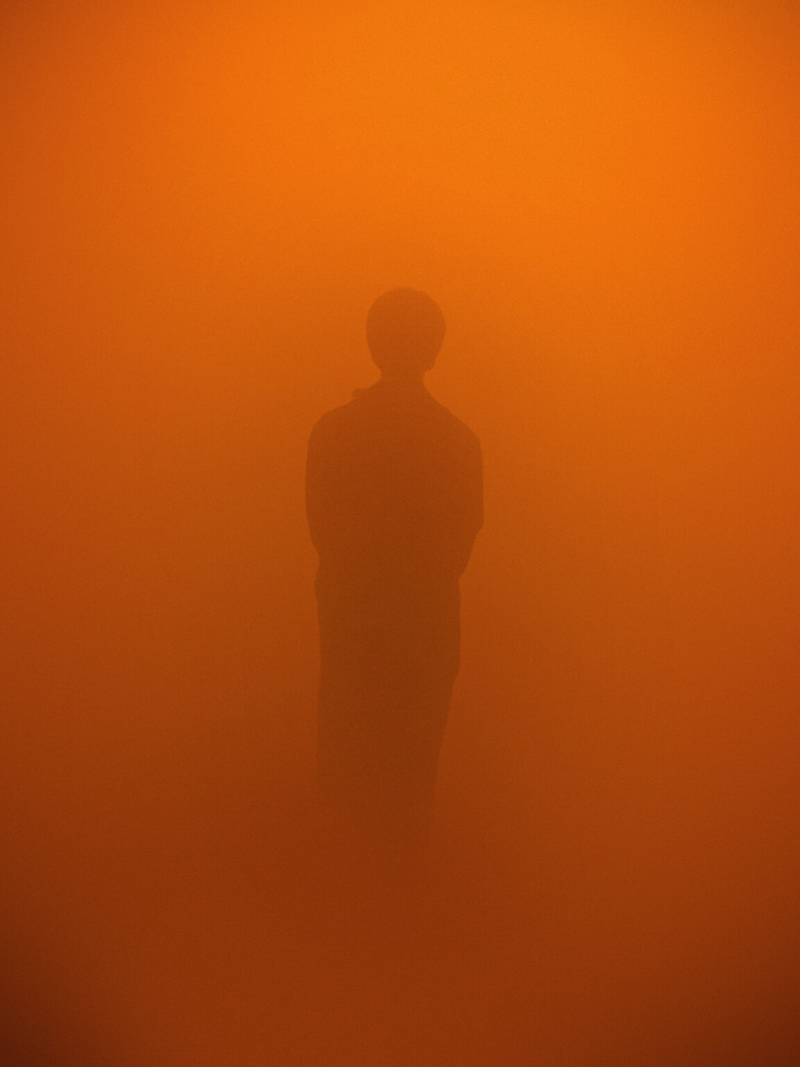 How Do We Make Sense of Rebirth? - Lions Roar