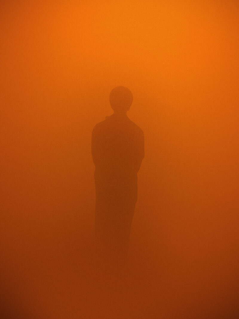 How Do We Make Sense of Rebirth? - Lions Roar