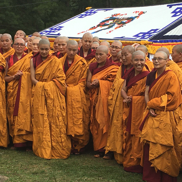 Damchö Diana Finnegan's Articles on Lions Roar