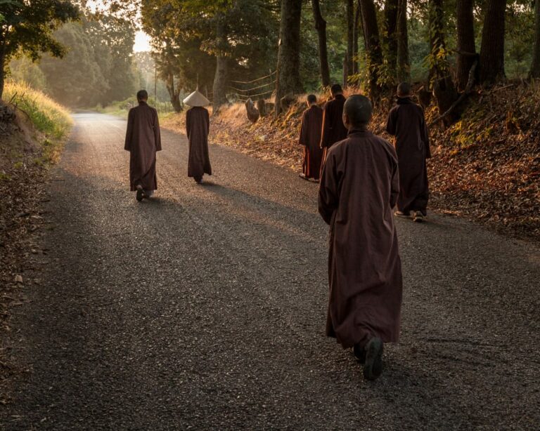 Sangha Is More than a Community | Lion’s Roar