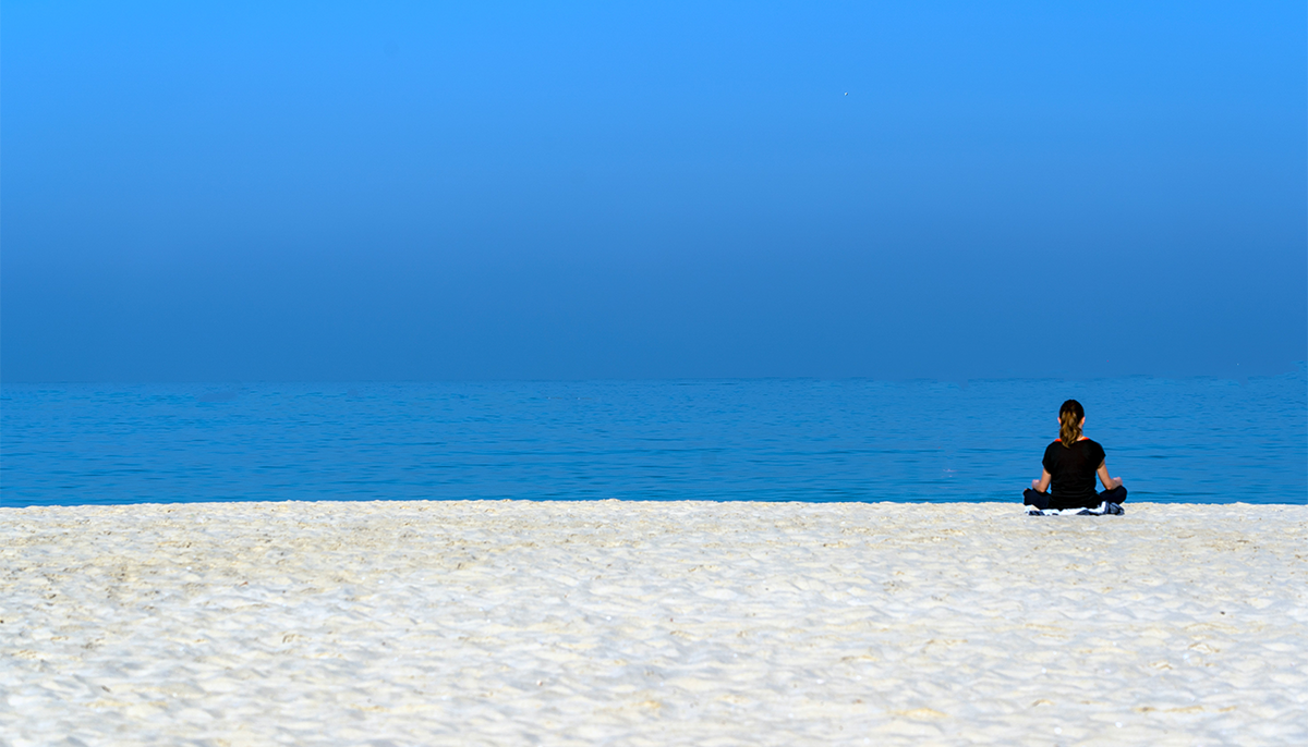 Learn the "BASICS" of Insight Meditation | Lion’s Roar