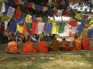 The Taste of Liberation: The Jhanas