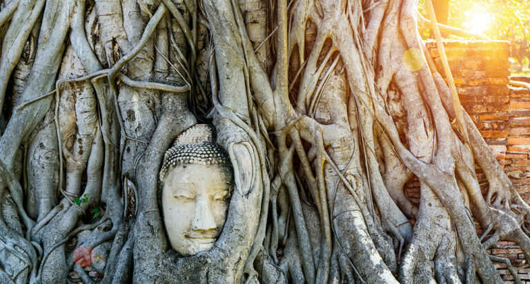 When the Buddha Was a Tree | Lion’s Roar
