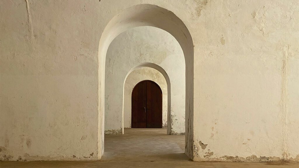 Bardo | Lion’s Roar