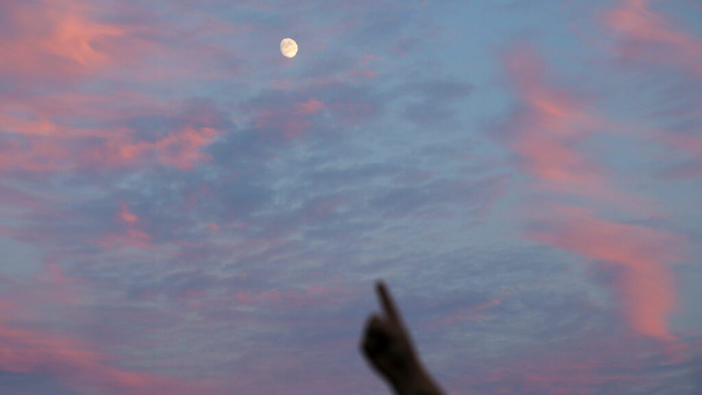 Koan | Lion’s Roar