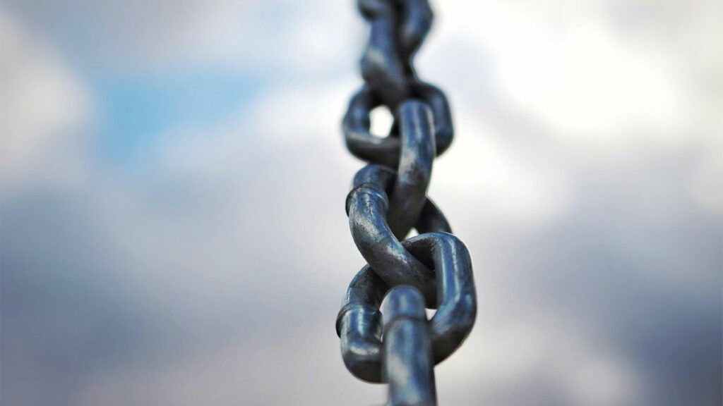 Interdependence | Lion’s Roar