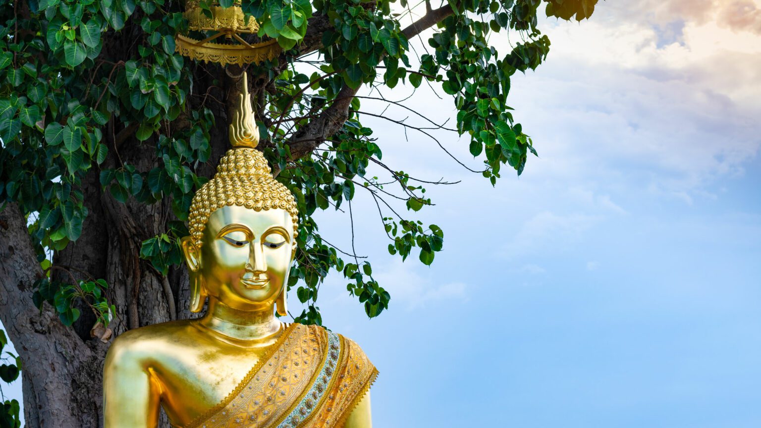 Welcome to “Bodhi Leaves: The Asian American Buddhist Monthly” | Lion’s ...