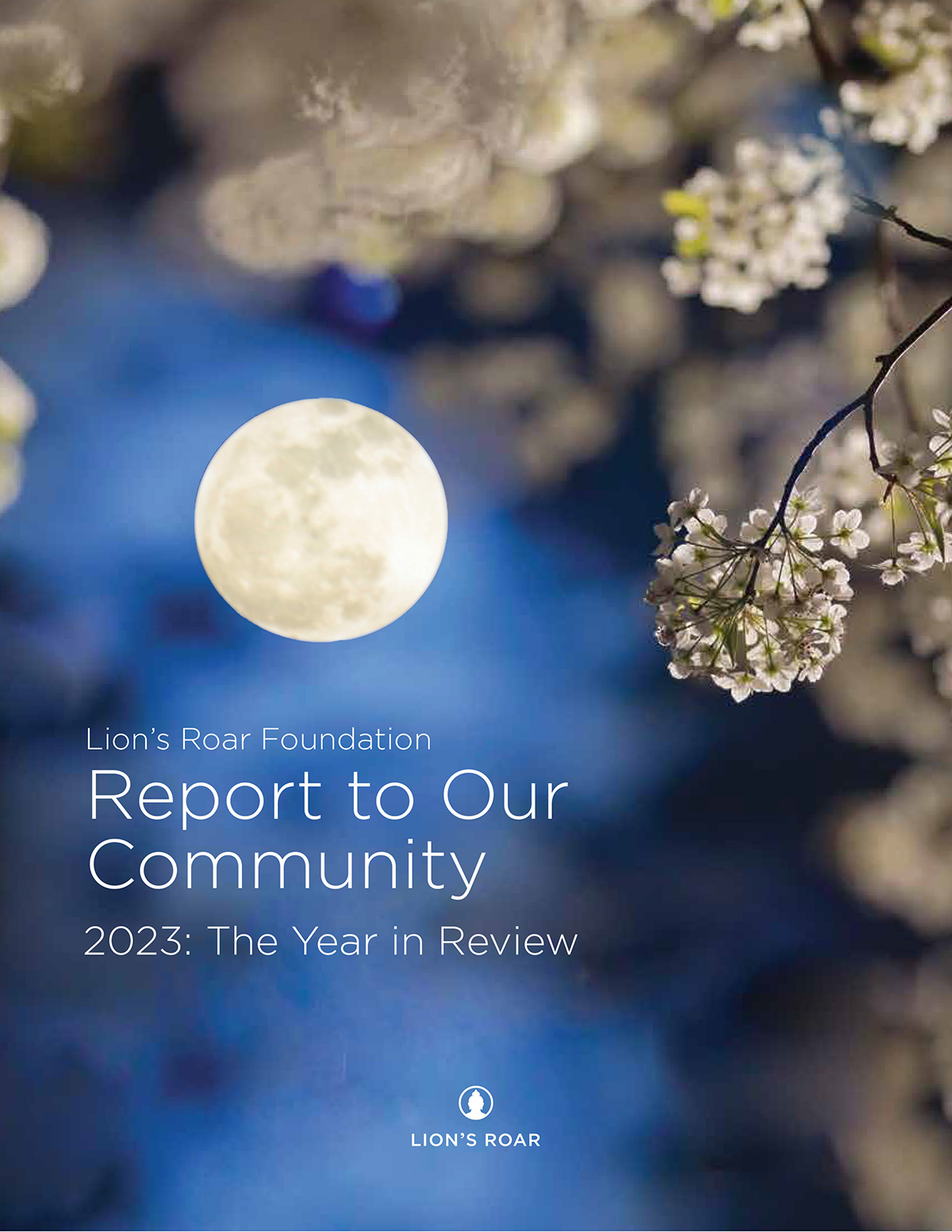 Annual Report | Lion’s Roar