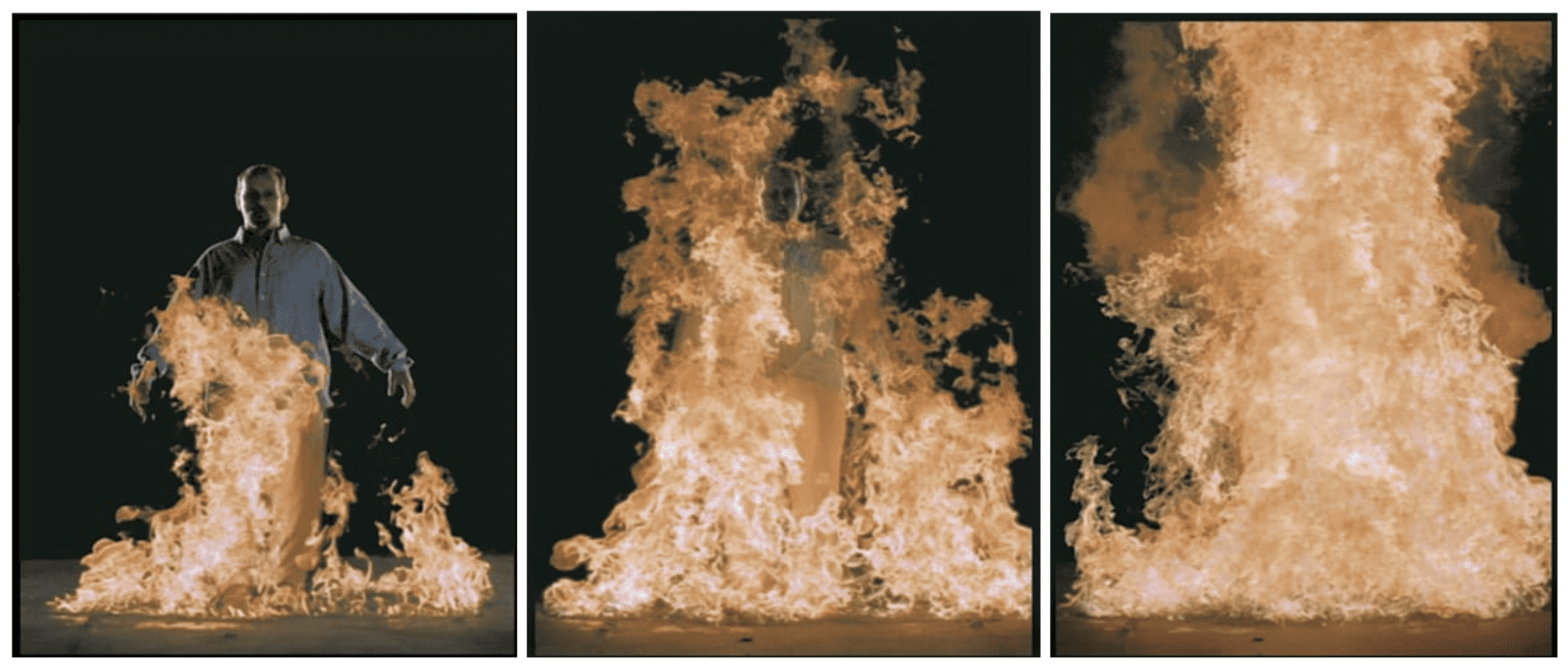 The Light Enters You: Remembering Video Artist Bill Viola | Lion’s Roar