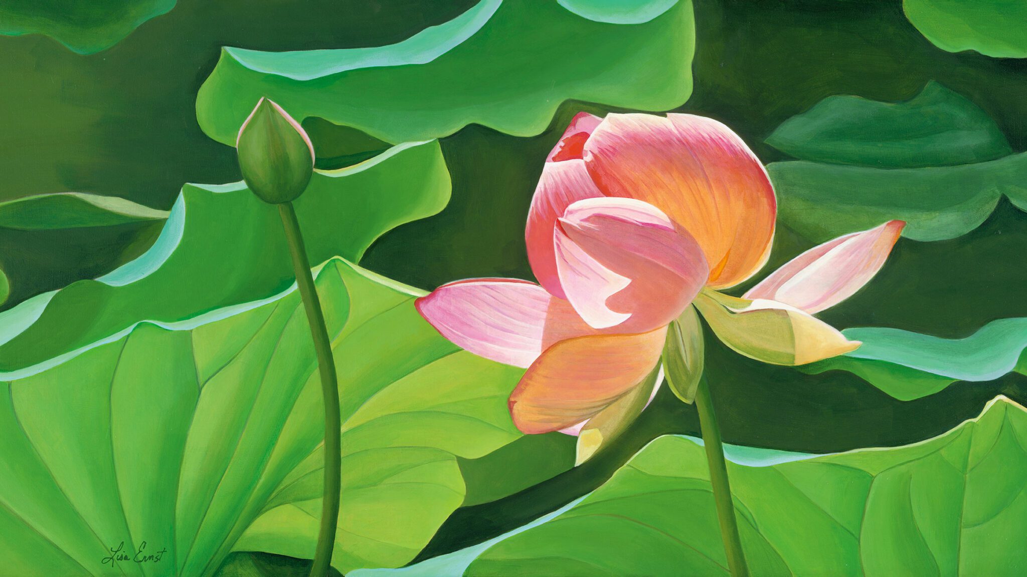 What Will We Do with Our Awakening? | Lion’s Roar