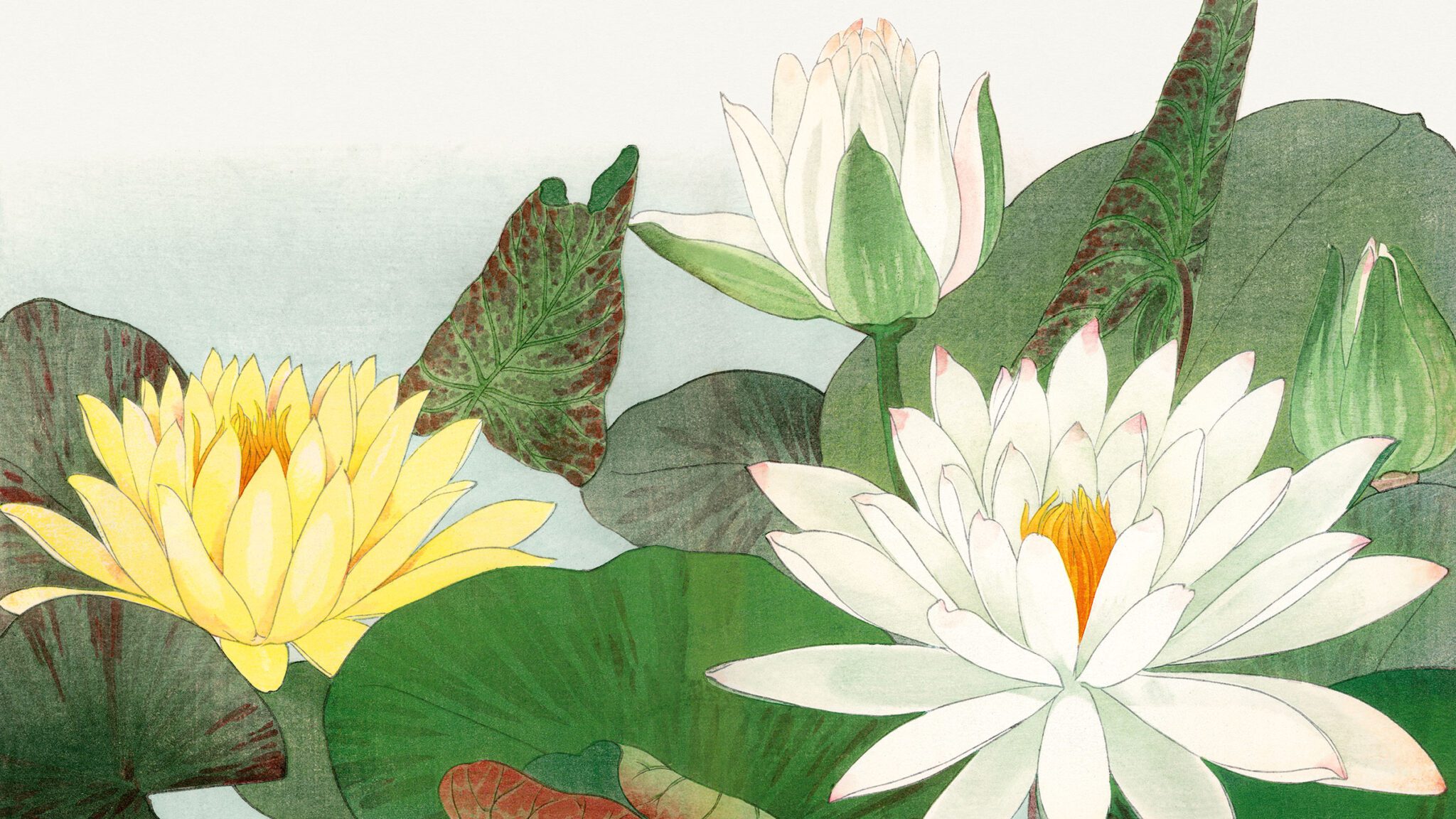 The Seven Factors of Awakening | Lion’s Roar