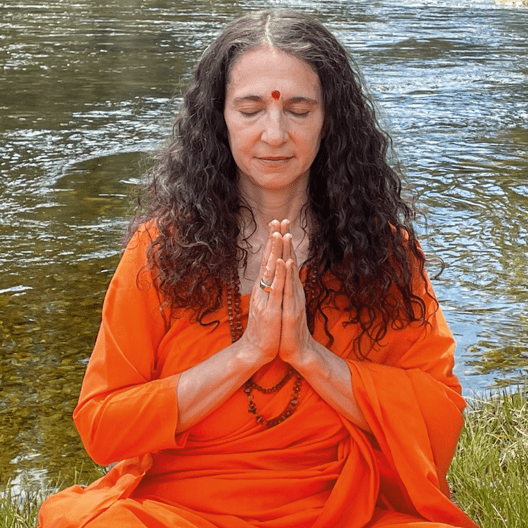 Sadhvi Bhagawati Saraswati | Lion’s Roar