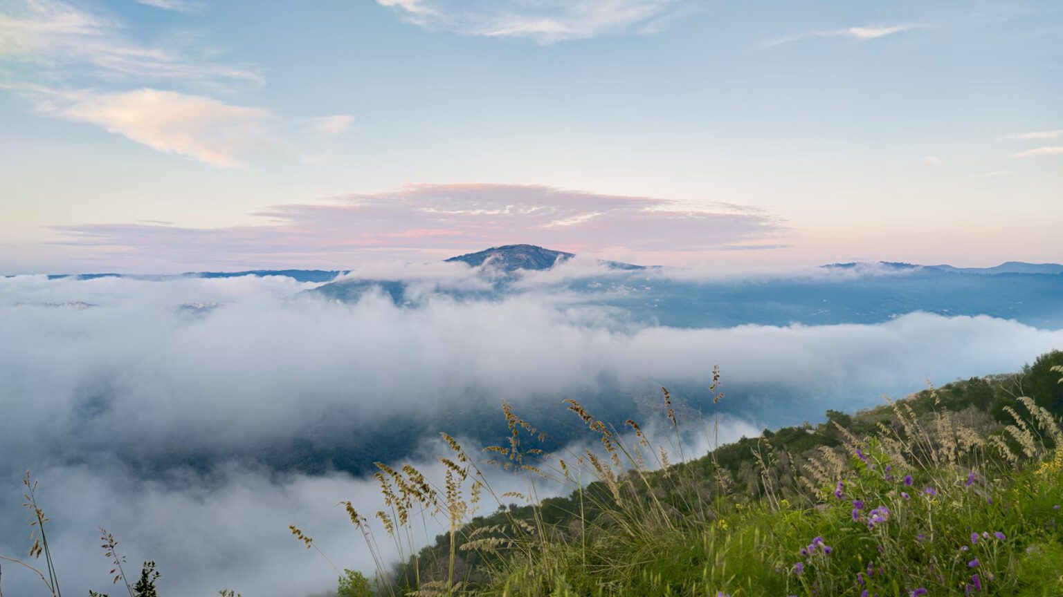 Listening to the Sounds of the Earth with Larry Ward | Lion’s Roar
