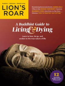 How the Tibetan Tulku System of Reincarnation Works | Lion’s Roar